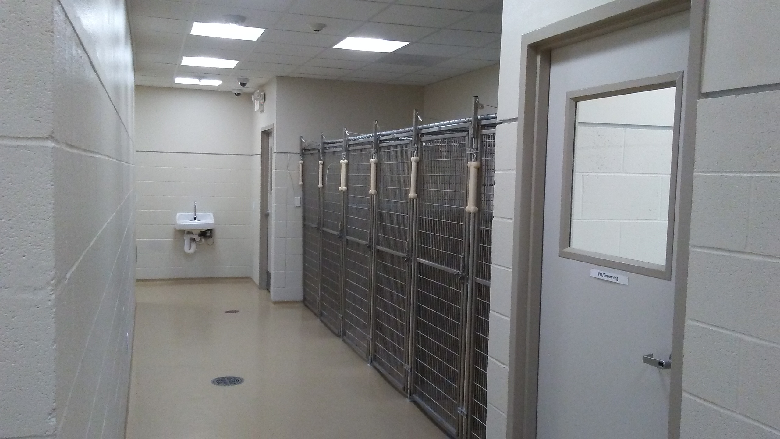 Pasadena Pet Adoption Center – ikloconstruction.com