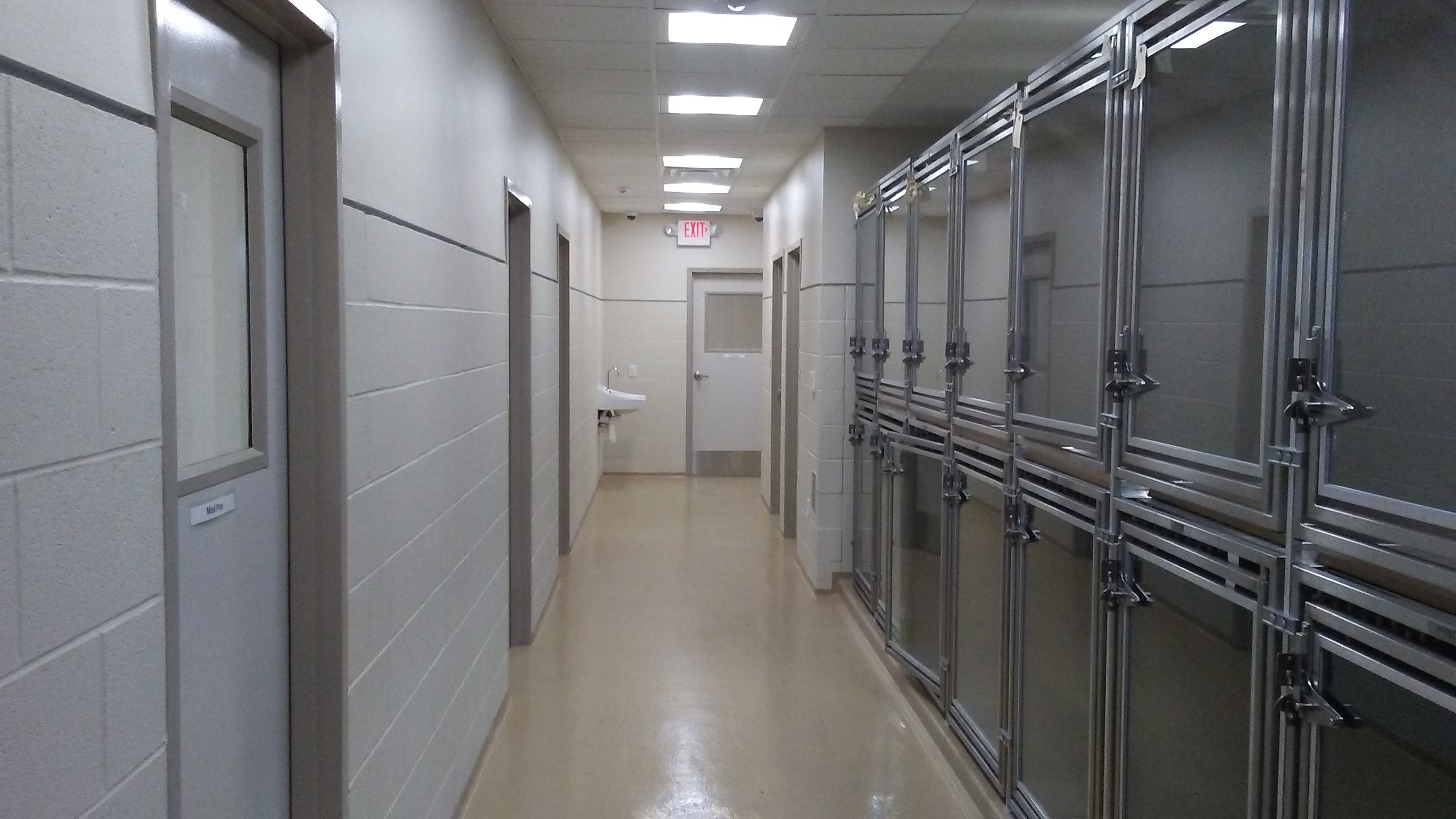 Pasadena Pet Adoption Center – ikloconstruction.com